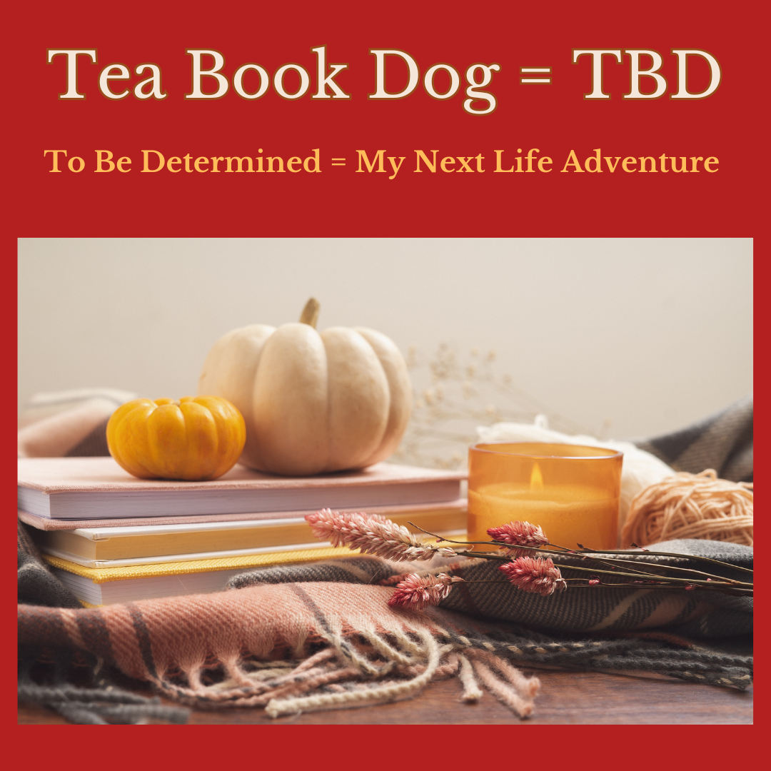 Back again! | Celebrating Tea, Books and a Dog